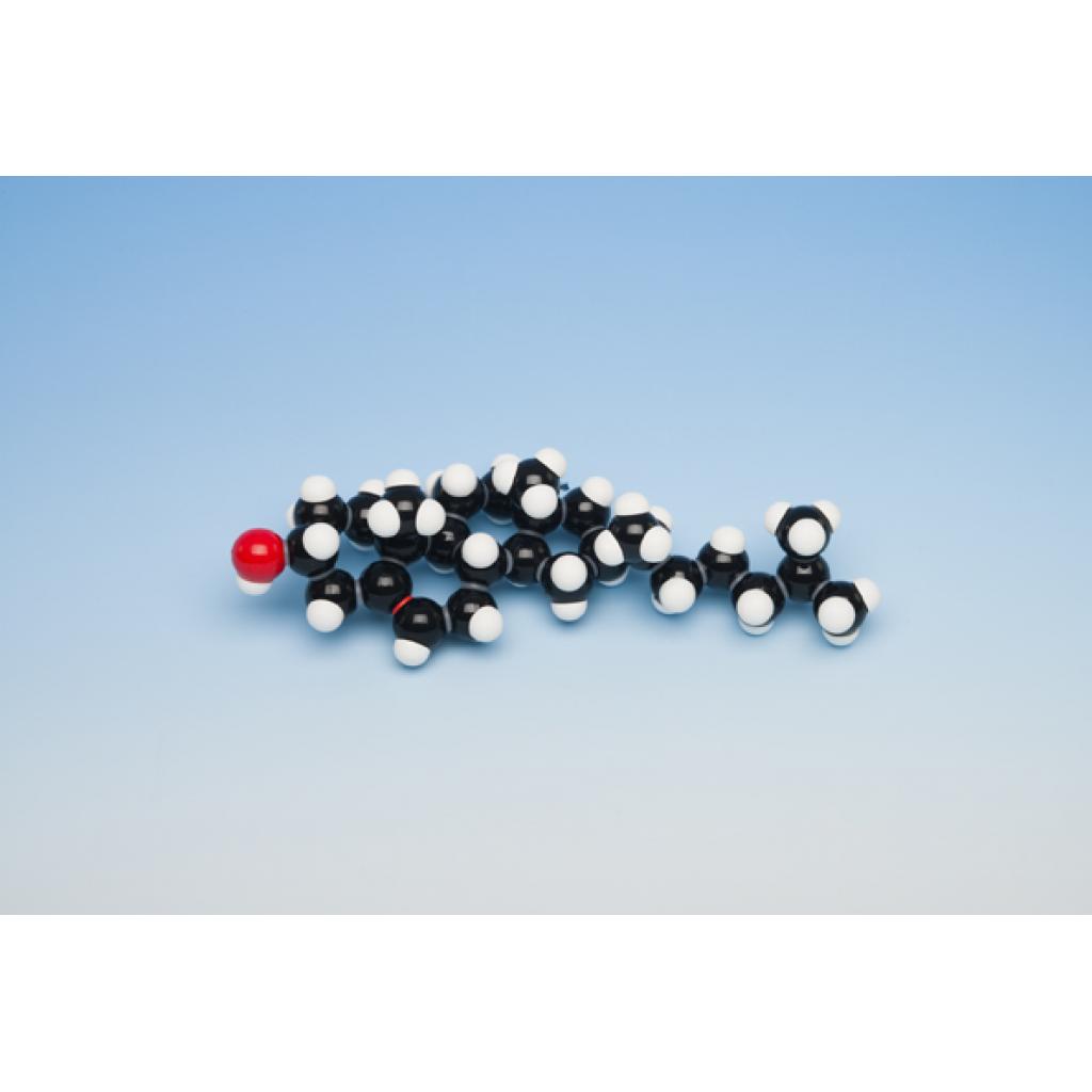 Molymod Molecular Models