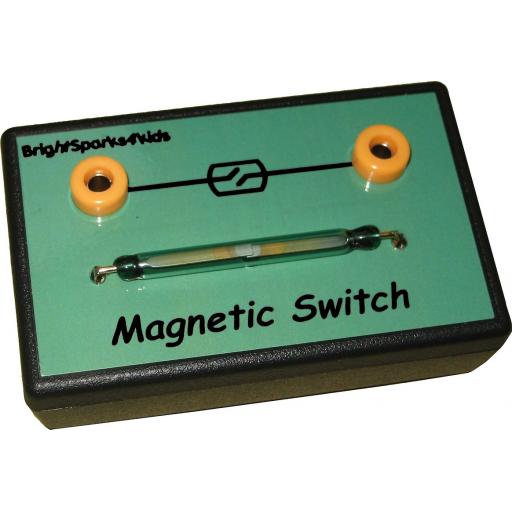 BrightSparks Magnetic Switch Module